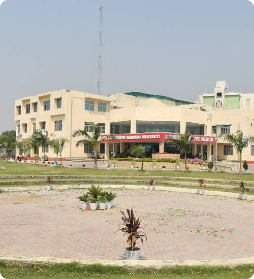 Admission Open 2026-27 | Ramswaroop Memorial University